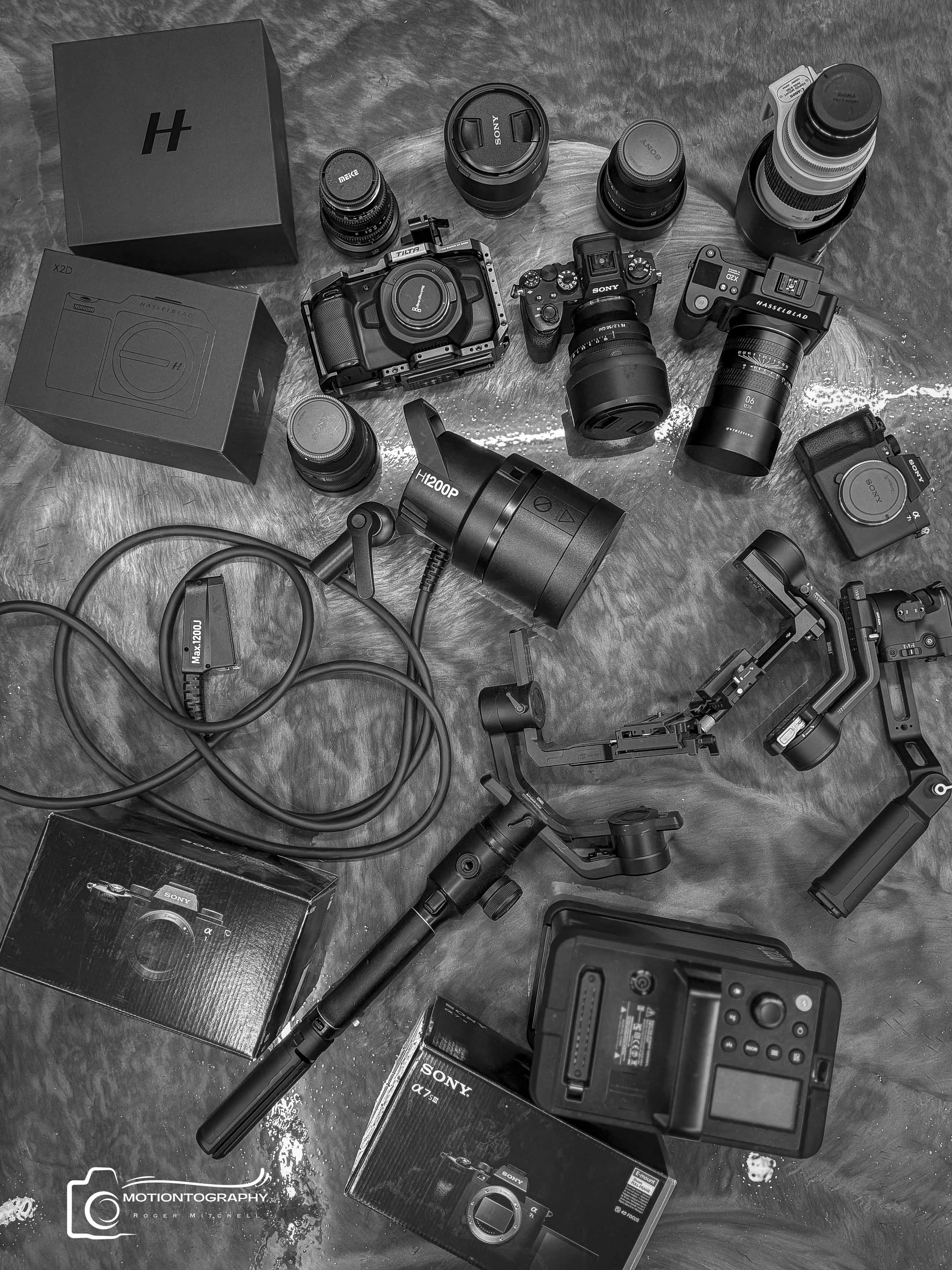 Professional Maternity & Portrait Photography in Hampton Roads, VA ...